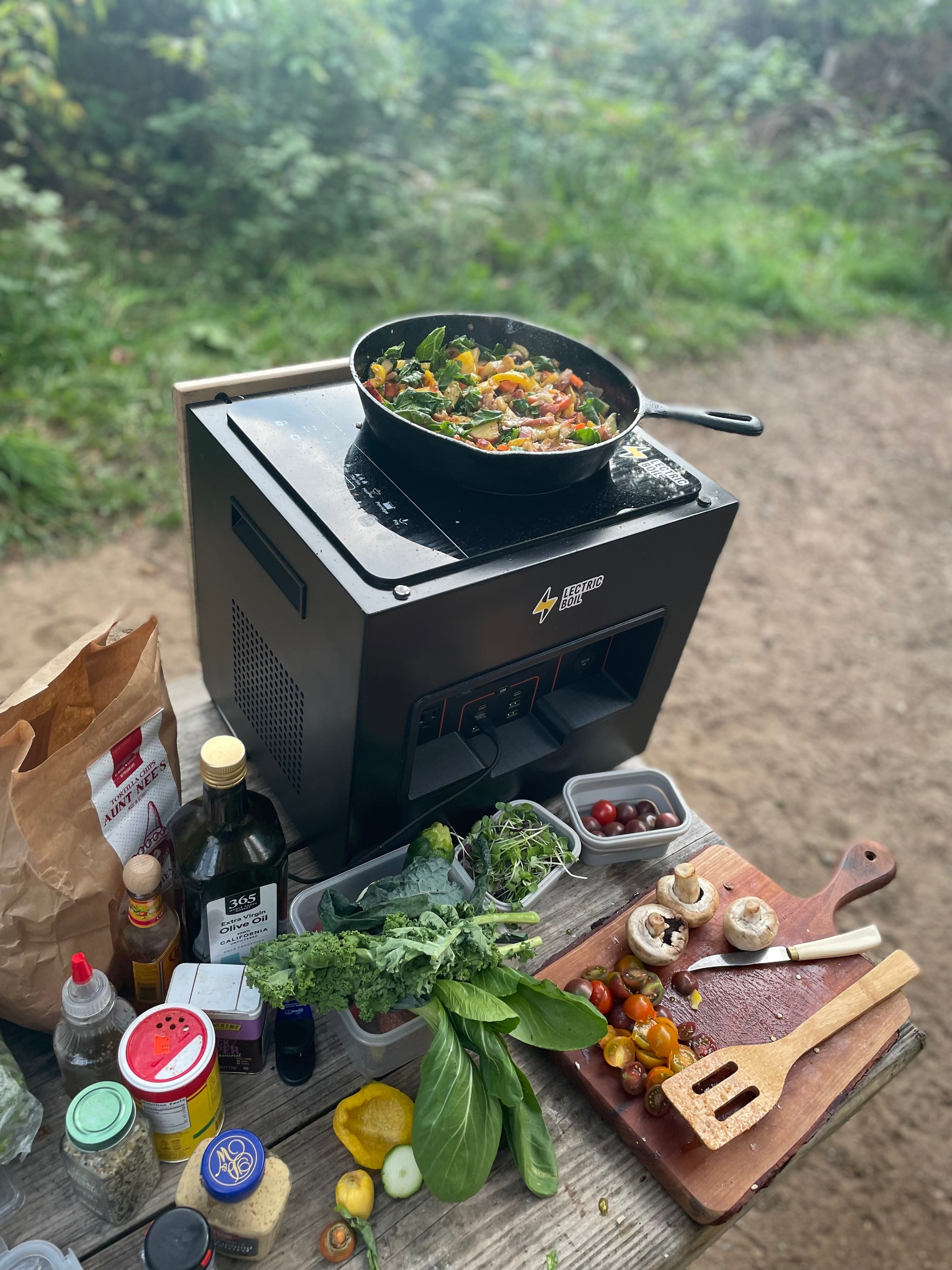 The World's First Portable, Battery Powered Induction Stove. USA-Made ...